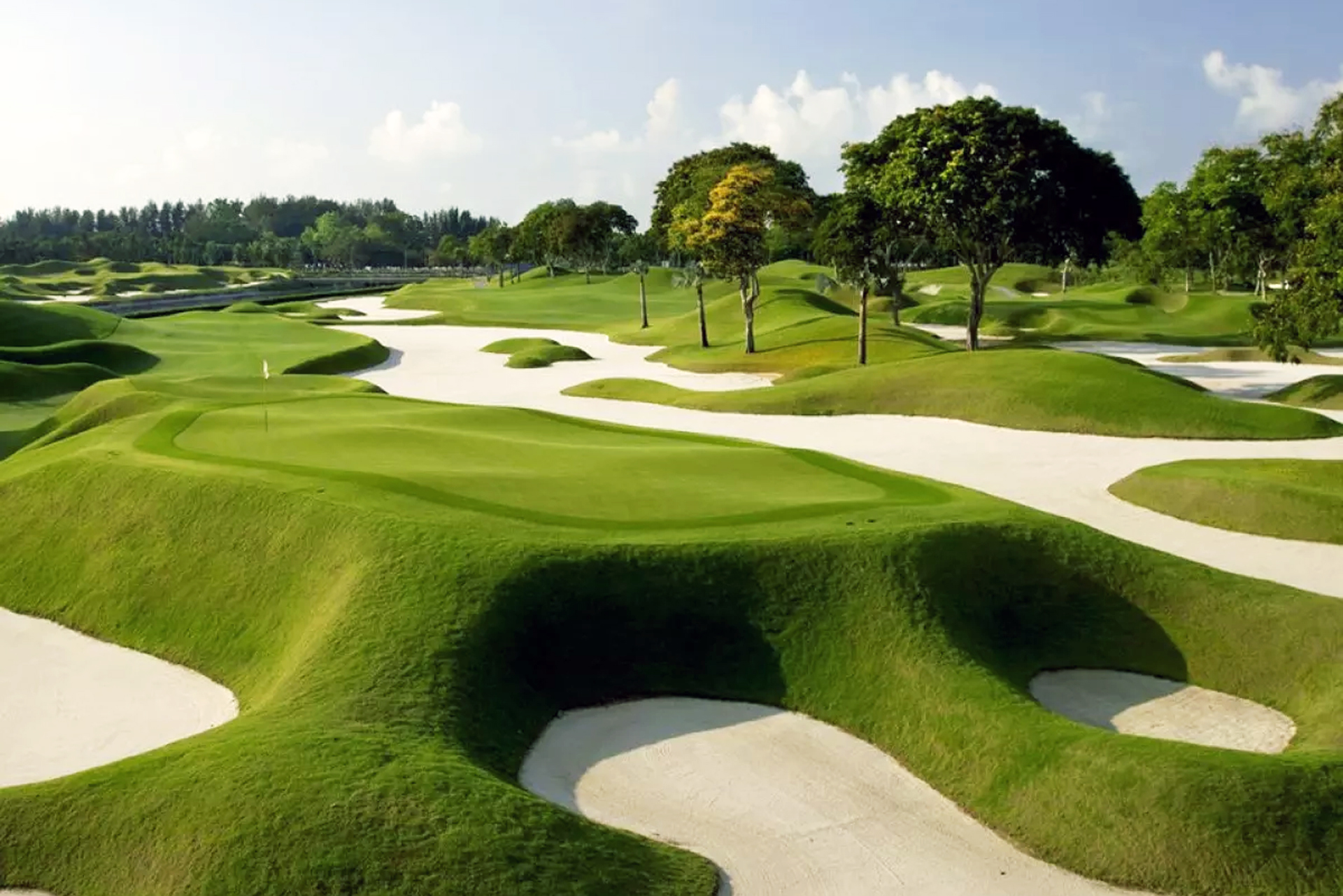 Laguna National Golf Resort Club - Cisgenics
